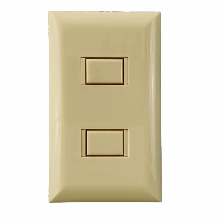 5000 Series 2 Button Ivory Wall Switch - Touch-Plate Lighting & Controls